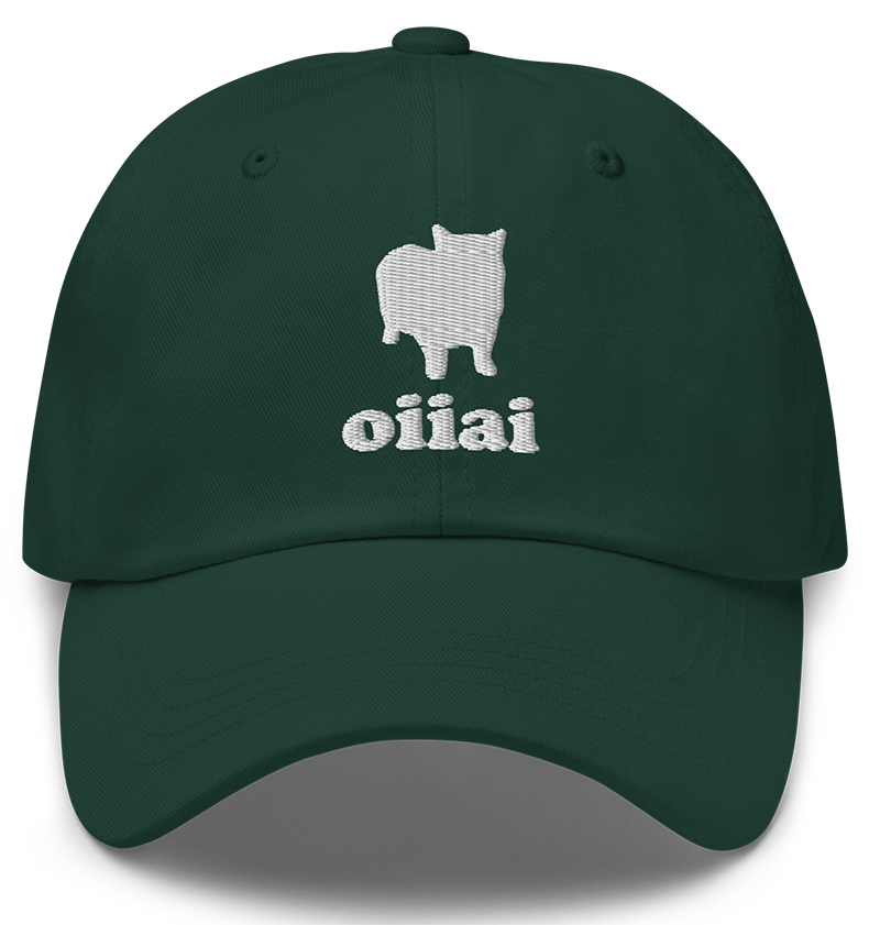 Oiiai Cat - Interactive Spinning Cat Animation & Typing Game