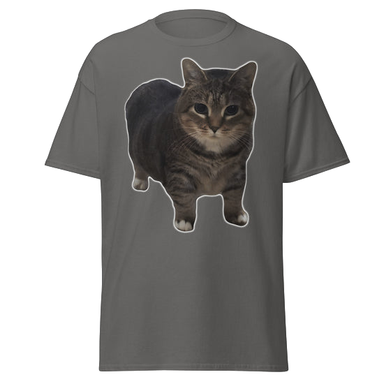 Oiiai Cat - Interactive Spinning Cat Animation & Typing Game